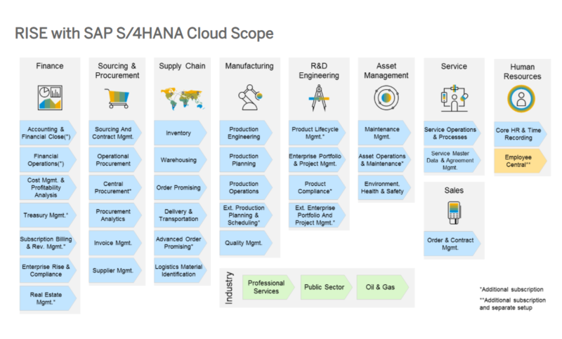 RISE WITH SAP | SAP Gold Partner